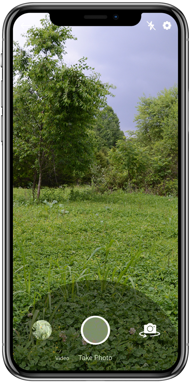 Hunting and Fishing App - Deer's Eye View