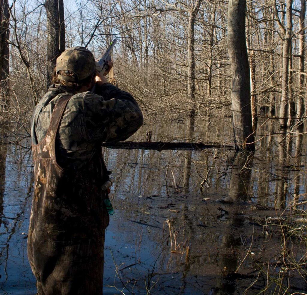 Duck Hunting - Deer's Eye View